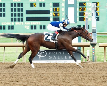 Raining Sugar - Horse Profile - BloodHorse