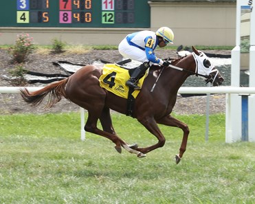 Soft Talk - Horse Profile - BloodHorse