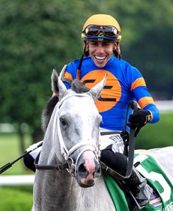 White Abarrio Horse Profile Bloodhorse