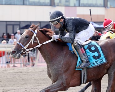 Jody's Ruby - Horse Profile - BloodHorse