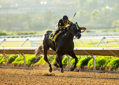 Bus Buzz - Horse Profile - BloodHorse