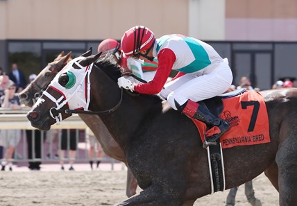 Gordian Knot - Horse Profile - BloodHorse