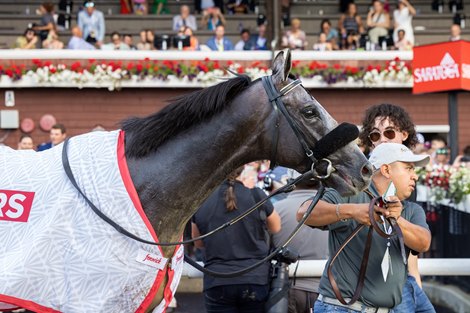 Arcangelo New to World's Best Racehorse Rankings - BloodHorse