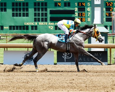 West Saratoga - Horse Profile - BloodHorse