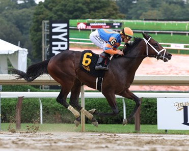 Fierceness - Horse Profile - BloodHorse