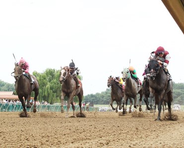 Stage Raider - Horse Profile - BloodHorse