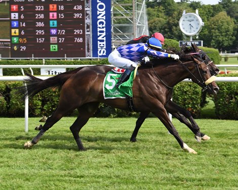 Soldier Rising Pursues Elusive Victory in Red Smith - BloodHorse