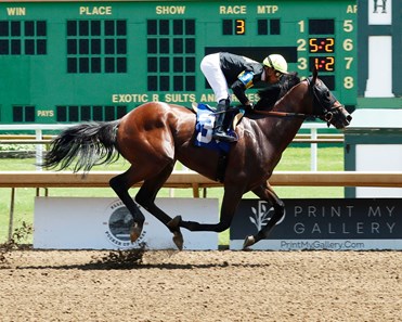 Smile Mon - Horse Profile - BloodHorse