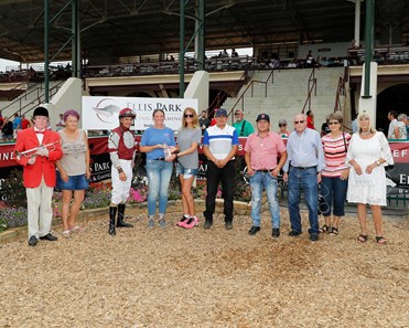 Stage Raider - Horse Profile - BloodHorse