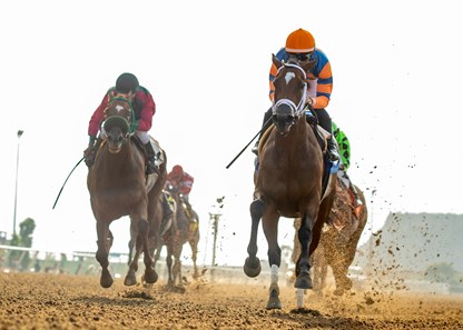 Pushiness - Horse Profile - BloodHorse