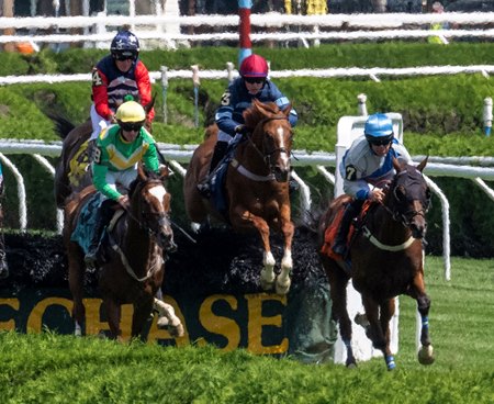 Zarak the Brave Makes U.S. Debut in Jonathan Sheppard - TrueNicks.com