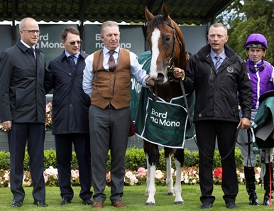 Diego Velazquez (IRE) - Horse Profile - BloodHorse