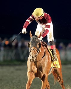 Red Route One - Horse Profile - BloodHorse