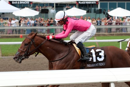 Paramount Prince - Horse Profile - BloodHorse