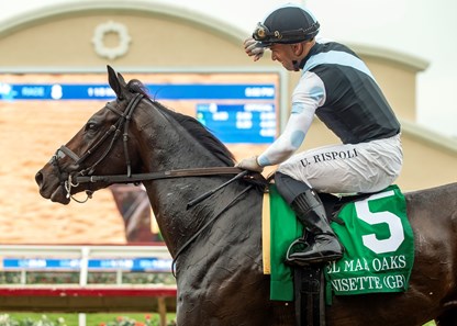 Anisette (GB) - Horse Profile - BloodHorse