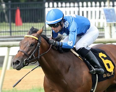 Determined Driver - Horse Profile - BloodHorse