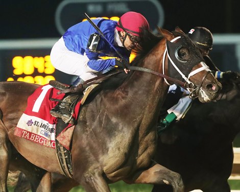 Bellamore Seeks First Stakes Win in Turnback the Alarm - BloodHorse