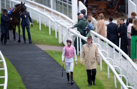 Sweet William (IRE) - Horse Profile - BloodHorse