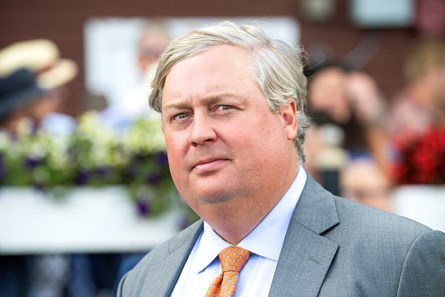 Bolshoi Ballet (IRE) - Horse Profile - BloodHorse