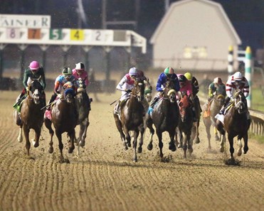 Red Route One - Horse Profile - BloodHorse