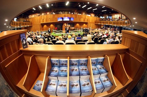 Fasig-Tipton Releases New York-Bred Yearlings Catalog - BloodHorse