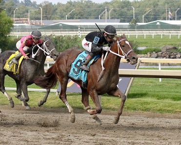 Jody's Ruby - Horse Profile - BloodHorse