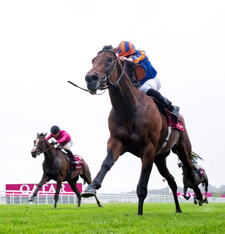 Aisling Crowe - Journalist Profile - Intelligent Relations