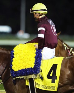 Red Route One - Horse Profile - BloodHorse