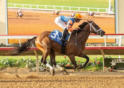 Pushiness - Horse Profile - BloodHorse