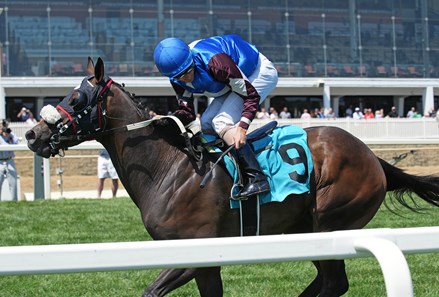 Tidewater - Horse Profile - BloodHorse