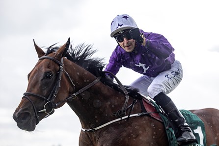 Bucanero Fuerte (GB) - Horse Profile - BloodHorse