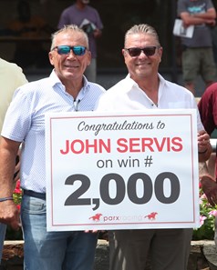 Dewey Doit - Horse Profile - BloodHorse