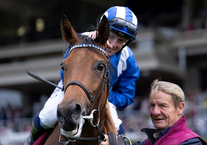 Al Husn (IRE) - Horse Profile - BloodHorse