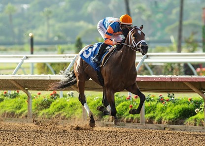 Pushiness - Horse Profile - BloodHorse