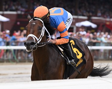 Fierceness - Horse Profile - BloodHorse