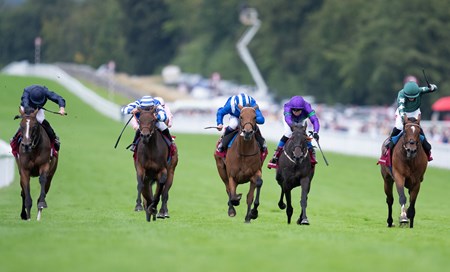 Al Husn (IRE) - Horse Profile - BloodHorse