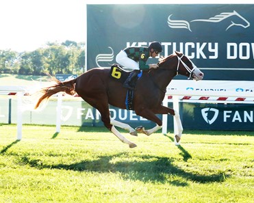 Copper Missile - Horse Profile - BloodHorse