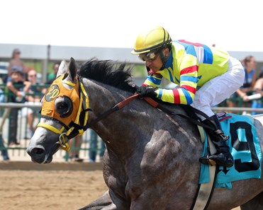 West Saratoga - Horse Profile - BloodHorse