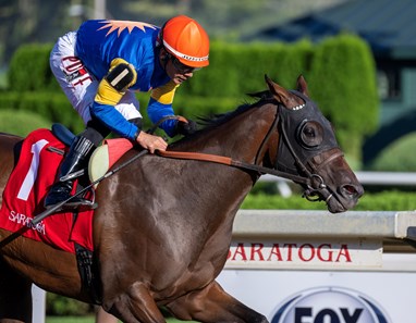 Magic Cross - Horse Profile - BloodHorse