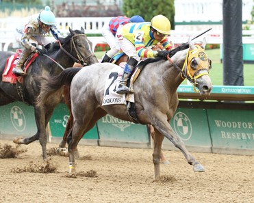 West Saratoga - Horse Profile - BloodHorse