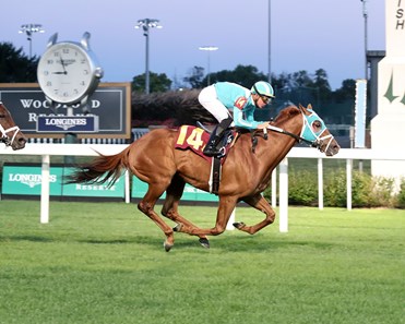 Red Run - Horse Profile - BloodHorse