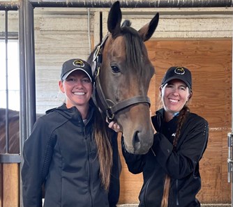 Dennis' Moment - Horse Profile - BloodHorse