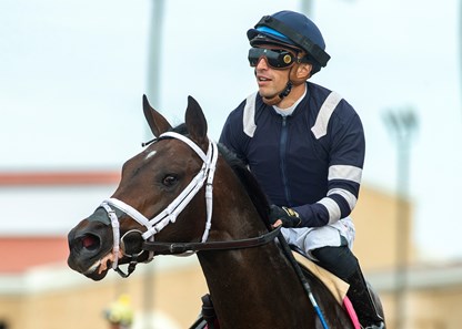 Endlessly - Horse Profile - BloodHorse