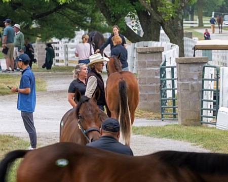 Sonson Scores $1.35M Uncle Mo Colt on Day 1 - BloodHorse