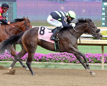 Bella Francesca - Horse Profile - BloodHorse