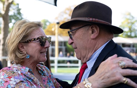 Sea Silk Road (IRE) - Horse Profile - BloodHorse