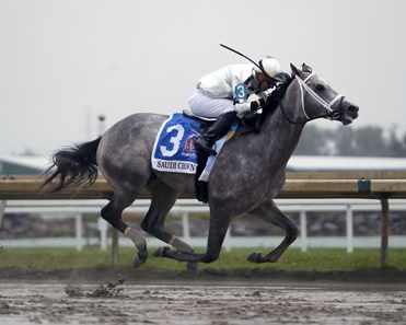 Saudi Crown - Horse Profile - BloodHorse