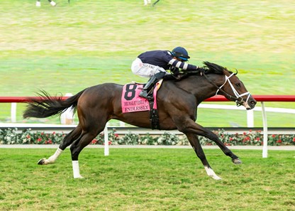 Endlessly - Horse Profile - BloodHorse