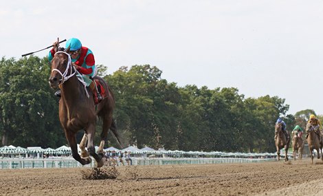 Great Navigator Is Sea Wizard's First Black-Type Winner - BloodHorse