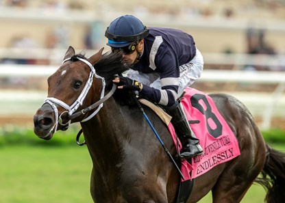Endlessly - Horse Profile - BloodHorse